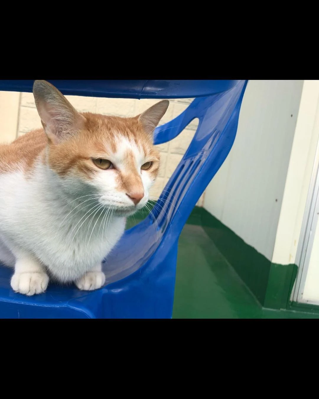 Doongie/Gallery | Stray Kids Wiki | Fandom