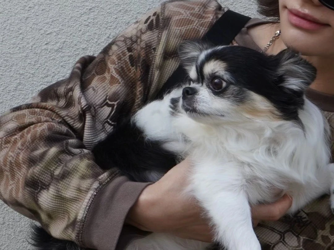 Kkami | Stray Kids Wiki | Fandom