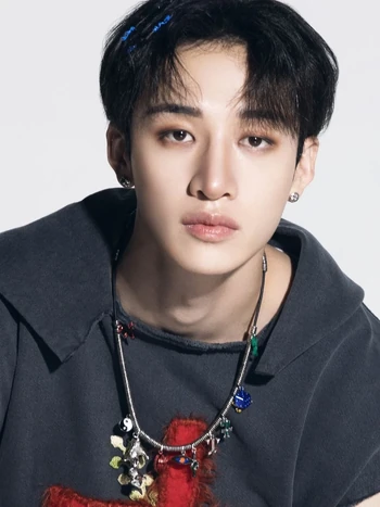 Bang Chan | Wiki Stray Kids | Fandom