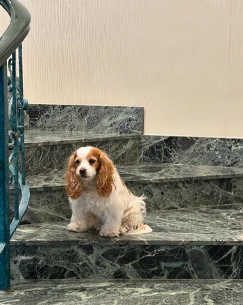 Berry | Stray Kids Wiki | Fandom