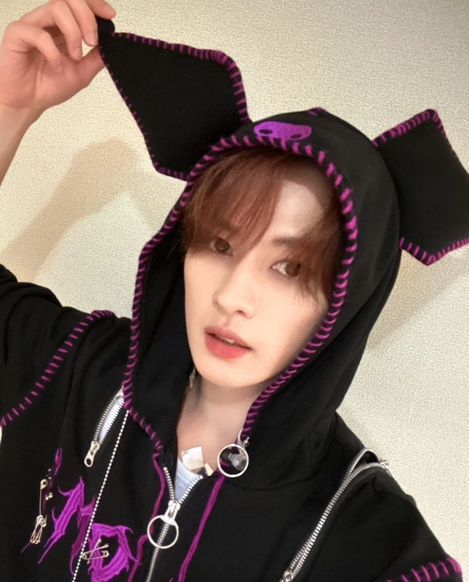 Lee Know/Trivia | Stray Kids Wiki | Fandom