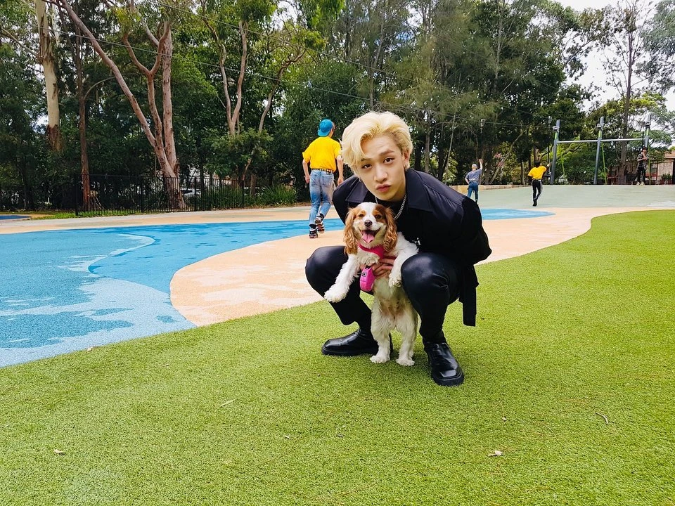 Berry/Gallery | Stray Kids Wiki | Fandom