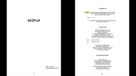 SKZFLIX | Stray Kids Wiki | Fandom