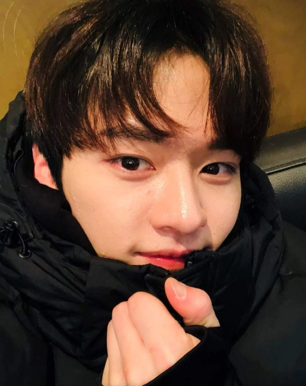 Lee Know/SNS/2018 | Stray Kids Wiki | Fandom