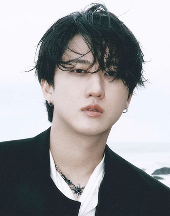 Changbin | Wiki Stray Kids | Fandom