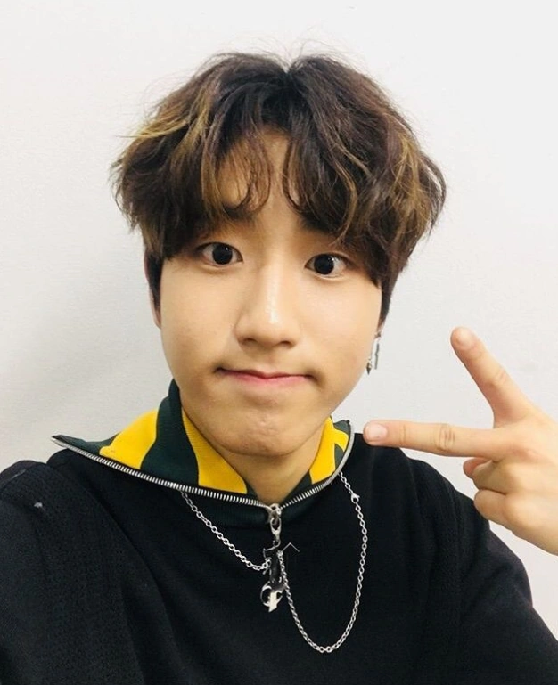 HAN/SNS/2018 | Stray Kids Wiki | Fandom