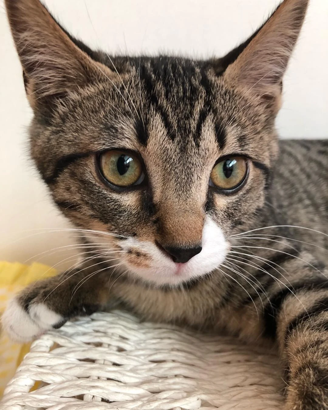 Dori/Gallery | Stray Kids Wiki | Fandom