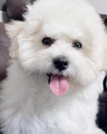Bbama/Gallery | Stray Kids Wiki | Fandom