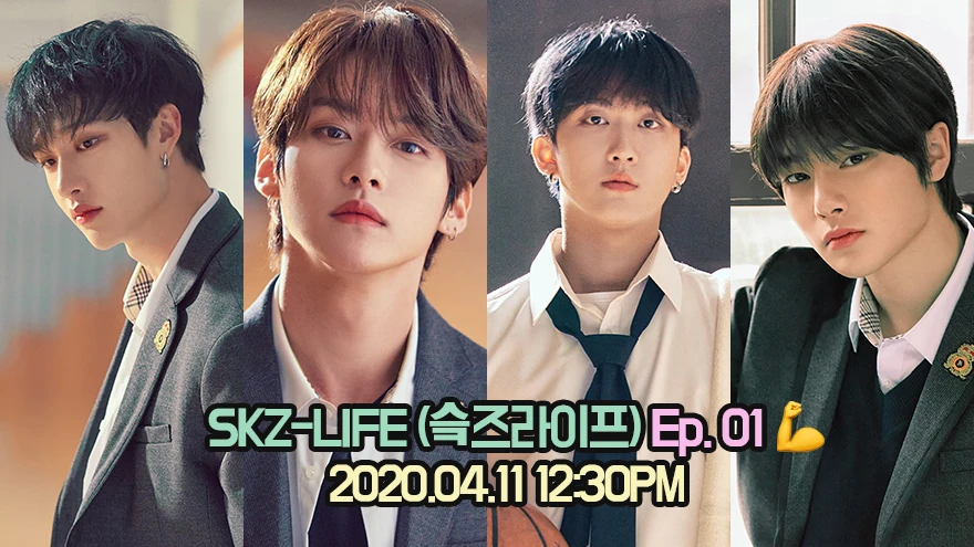 SKZ-LIFE | Stray Kids Wiki | Fandom