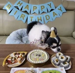 Kkami/Gallery | Stray Kids Wiki | Fandom