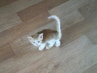 Doongie/Gallery | Stray Kids Wiki | Fandom