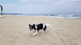 Kkami/Gallery | Stray Kids Wiki | Fandom