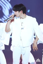 TOP | Stray Kids Wiki | Fandom