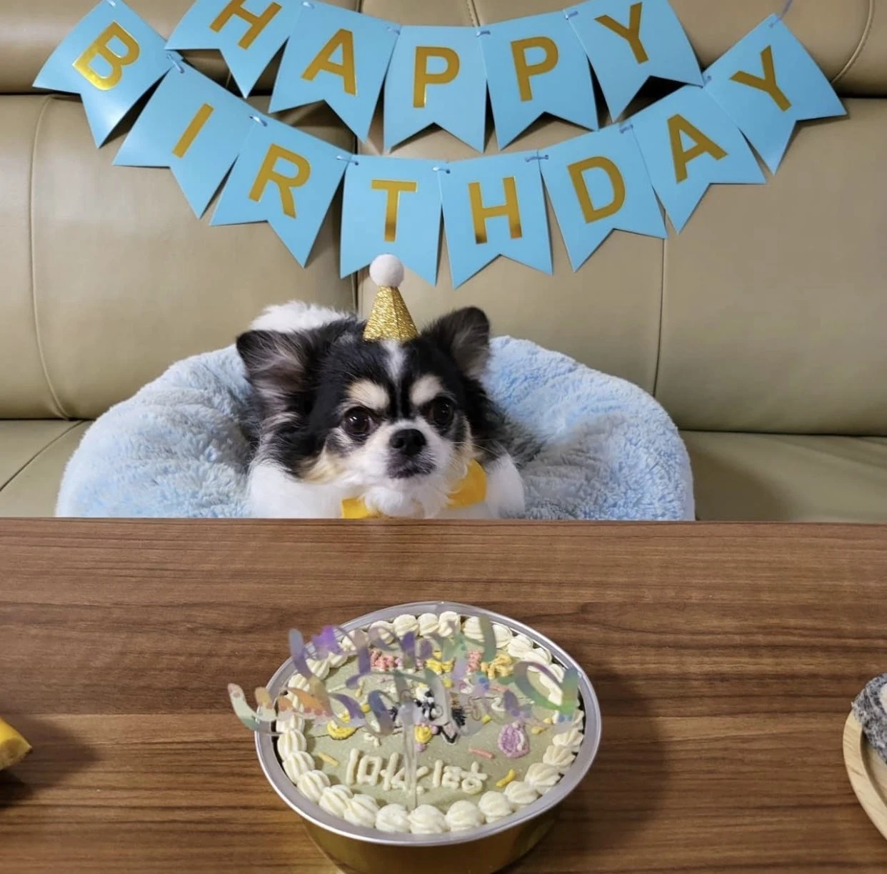 Kkami Stray Kids Wiki Fandom, 57% OFF | www.micoope.com.gt