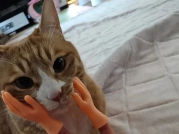 Soonie | Stray Kids Wiki | Fandom