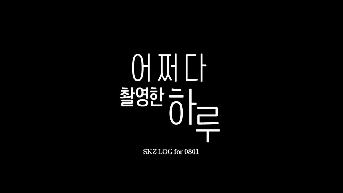 SKZ LOG | Stray Kids Wiki | Fandom