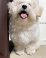 Bbama/Gallery | Stray Kids Wiki | Fandom