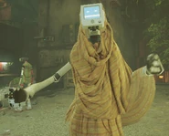 Companion | Stray Wiki | Fandom