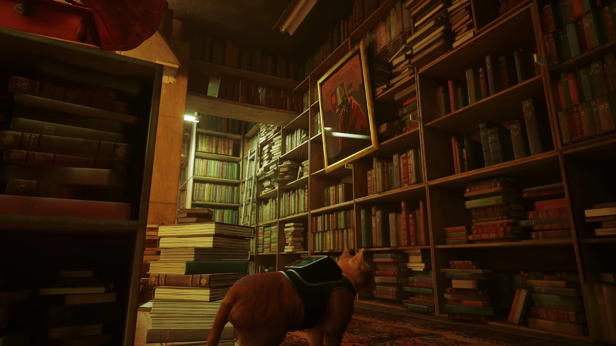 Library | Stray Wiki | Fandom