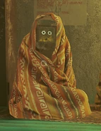 Companion | Stray Wiki | Fandom