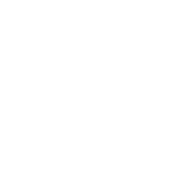 Outsiders | Stray Wiki | Fandom