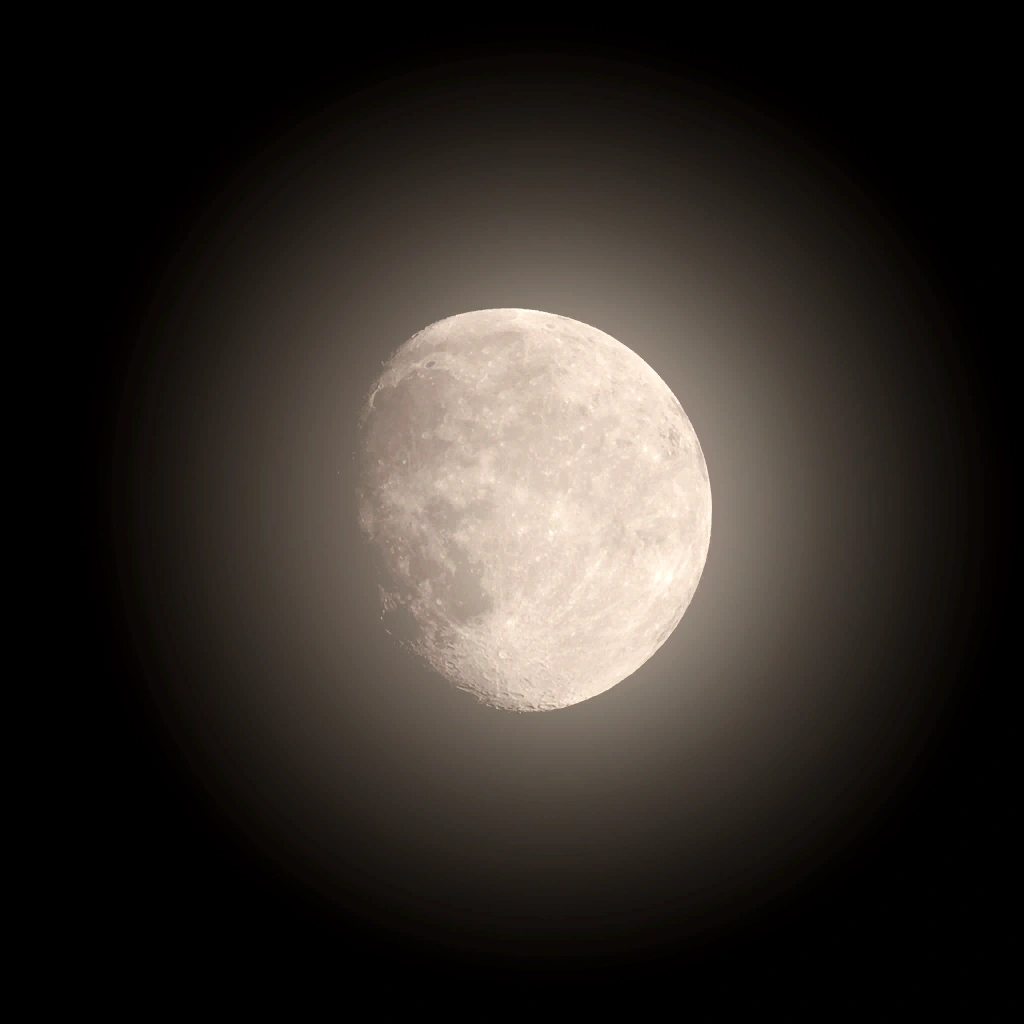 Moon | Stray Wiki | Fandom