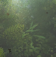 Animals | Stray Wiki | Fandom