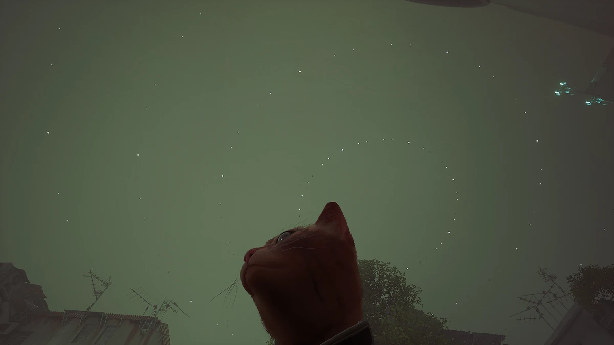 Circles of Light | Stray Wiki | Fandom