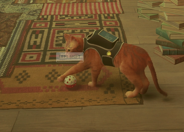 Cat toys | Stray Wiki | Fandom