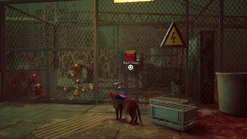 Chapter 5: Rooftops | Stray Wiki | Fandom