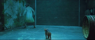 Chapter 7: Dead End | Stray Wiki | Fandom