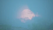 Moon | Stray Wiki | Fandom