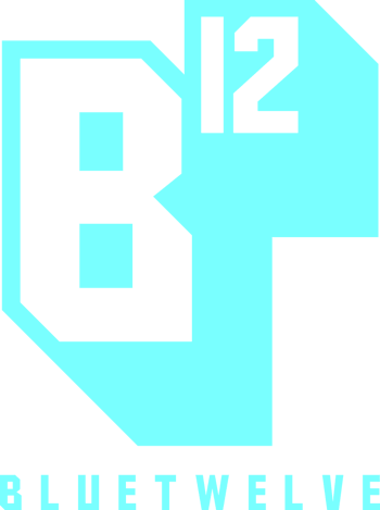 BlueTwelve Studio | Wiki Stray | Fandom