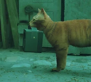 Electrical Box | Stray Wiki | Fandom