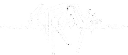 Stray | Stray вики | Fandom