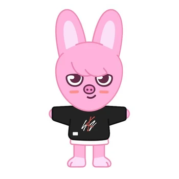 Dwaekki | Stray Kids Wiki | Fandom