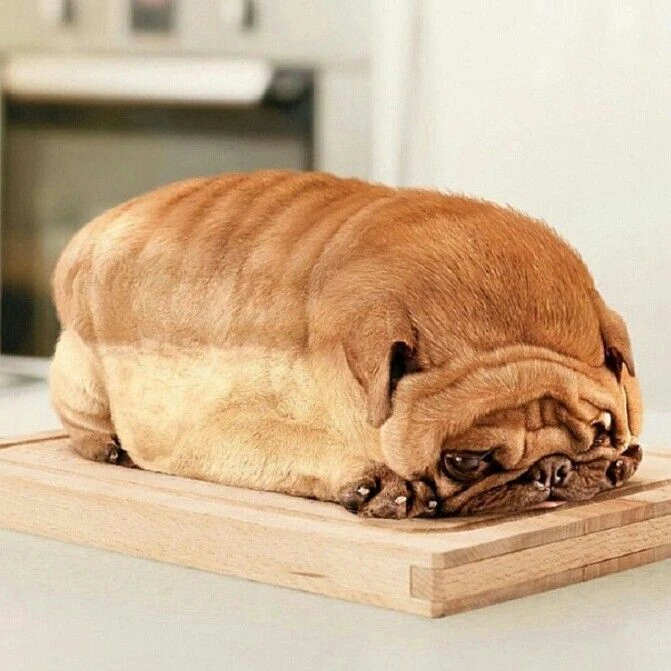 Bread Dog | Nnemonic Stream Audition Wiki | Fandom
