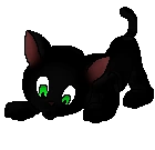 Nightshadow | Stream Warriors Wikia | Fandom