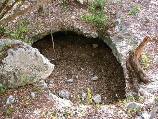 DarkClans Nursery. | StreamClan and DarkClan Wiki | Fandom