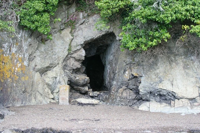 StreamClan warriors den | StreamClan and DarkClan Wiki | Fandom