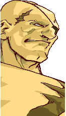 Street Fighter Alpha 3/Sequences/Sagat | Street Fighter Sprites Wikia ...