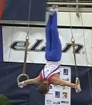 Inverted cross | Street workout Wiki | Fandom