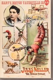 One arm planche | Street workout Wiki | Fandom