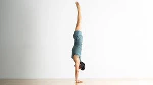 Handstand | Street workout Wiki | Fandom