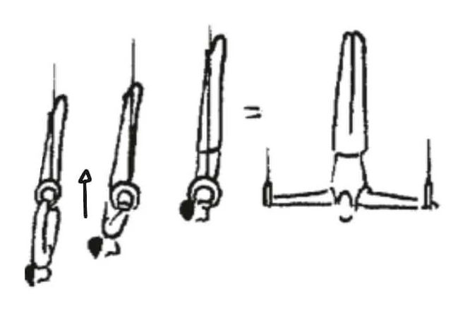 Inverted butterfly | Street workout Wiki | Fandom