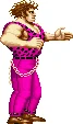 Hugo/Sprites | Street Fighter Wiki | Fandom