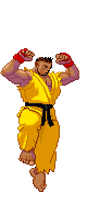 Sean/Sprites | Street Fighter Wiki | Fandom