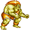 Blanka/Sprites | Street Fighter Wiki | Fandom