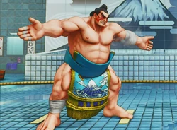 Sumo Spirit | Street Fighter Wiki | Fandom