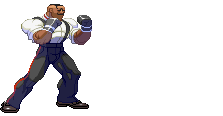 Duck | Street Fighter Wiki | Fandom
